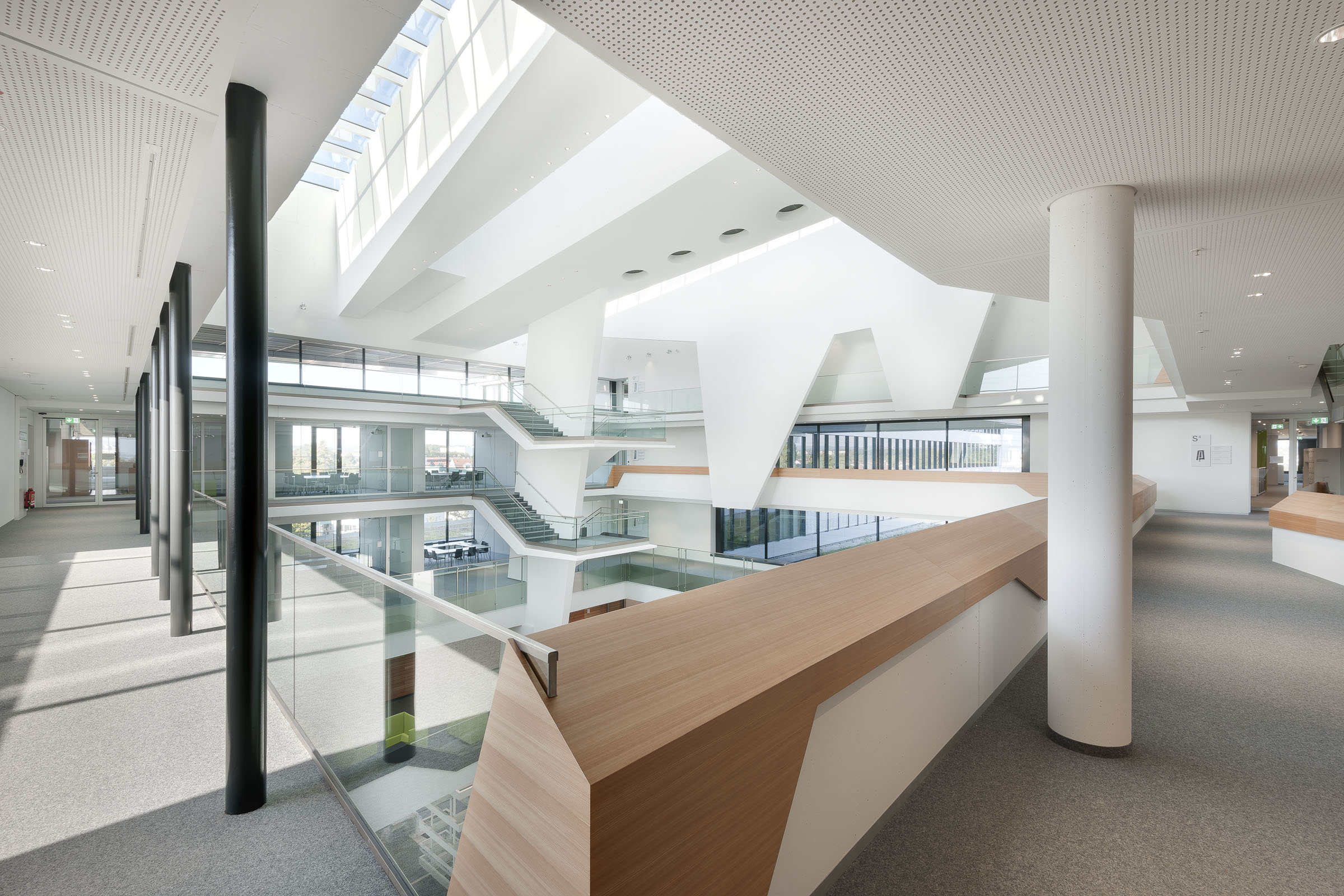 ZF Forum – ZF Friedrichshafen AG – patrickweber.net