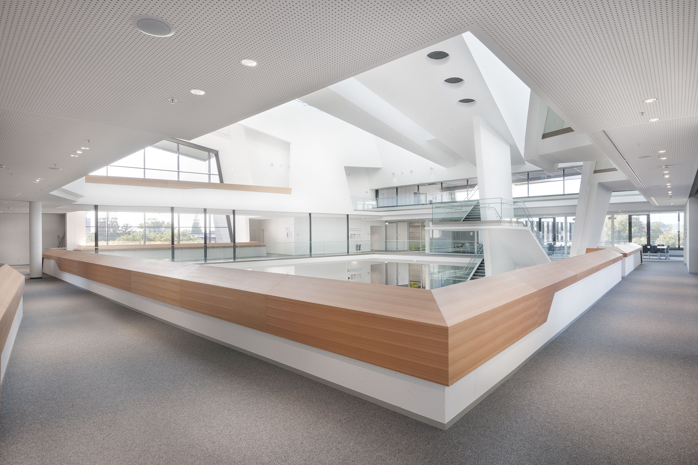 ZF Forum – ZF Friedrichshafen AG – patrickweber.net